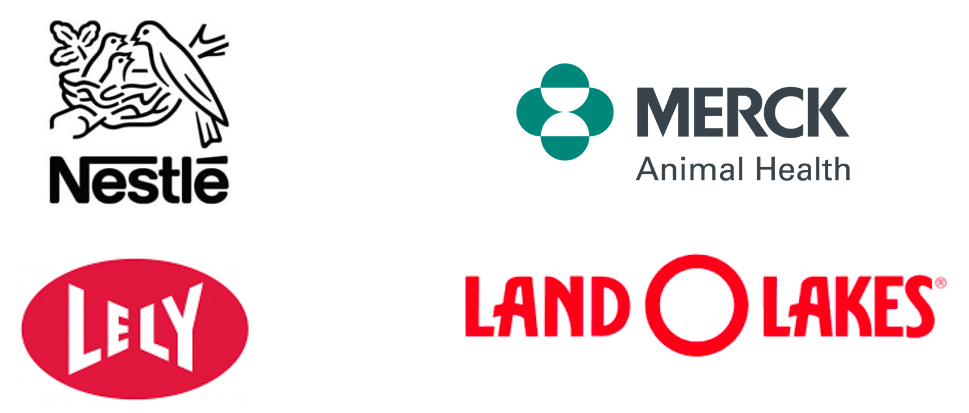 We are VYLA - A dairy innovation company